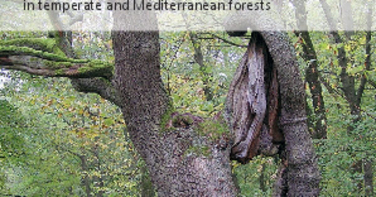 Field guide to tree-related microhabitats (2nd ed.)