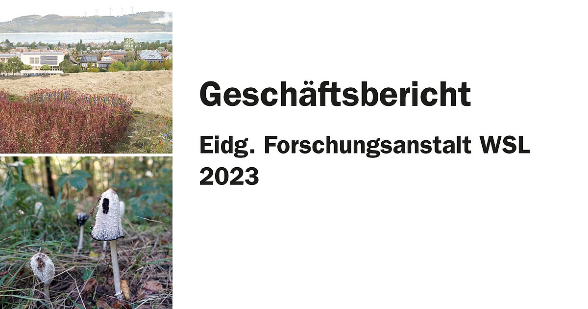 WSL Annual Report 2023