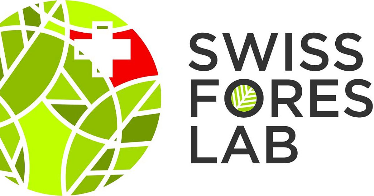 Beech genomes for the future