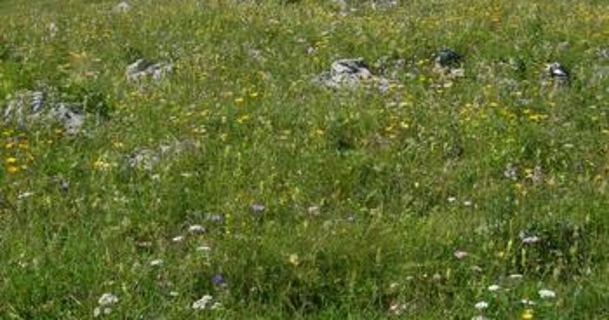 Alpine landscapes under global change: Impacts of land-use change on ...