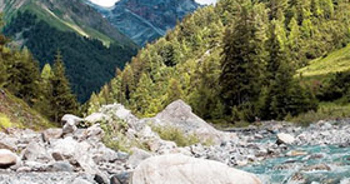 Daylight and climate change