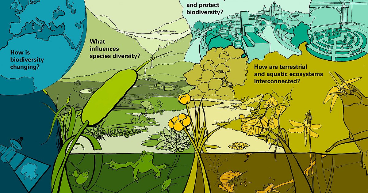 Summer School: Blue-green biodiversity. Research and practice at the ...