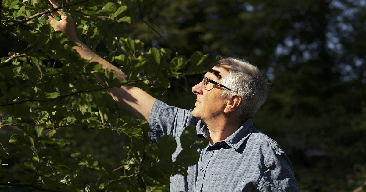 Thomas Wohlgemuth nommé au Comité de direction du WSL
