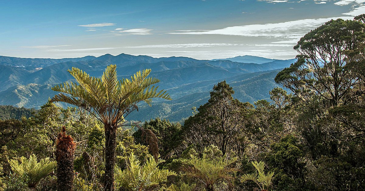 First global database of the Earth’s vegetation