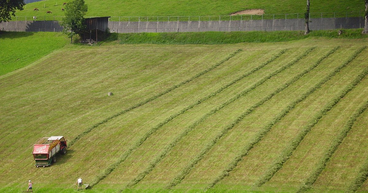 What is Sustainable Intensification? Operationalizing Sustainable ...