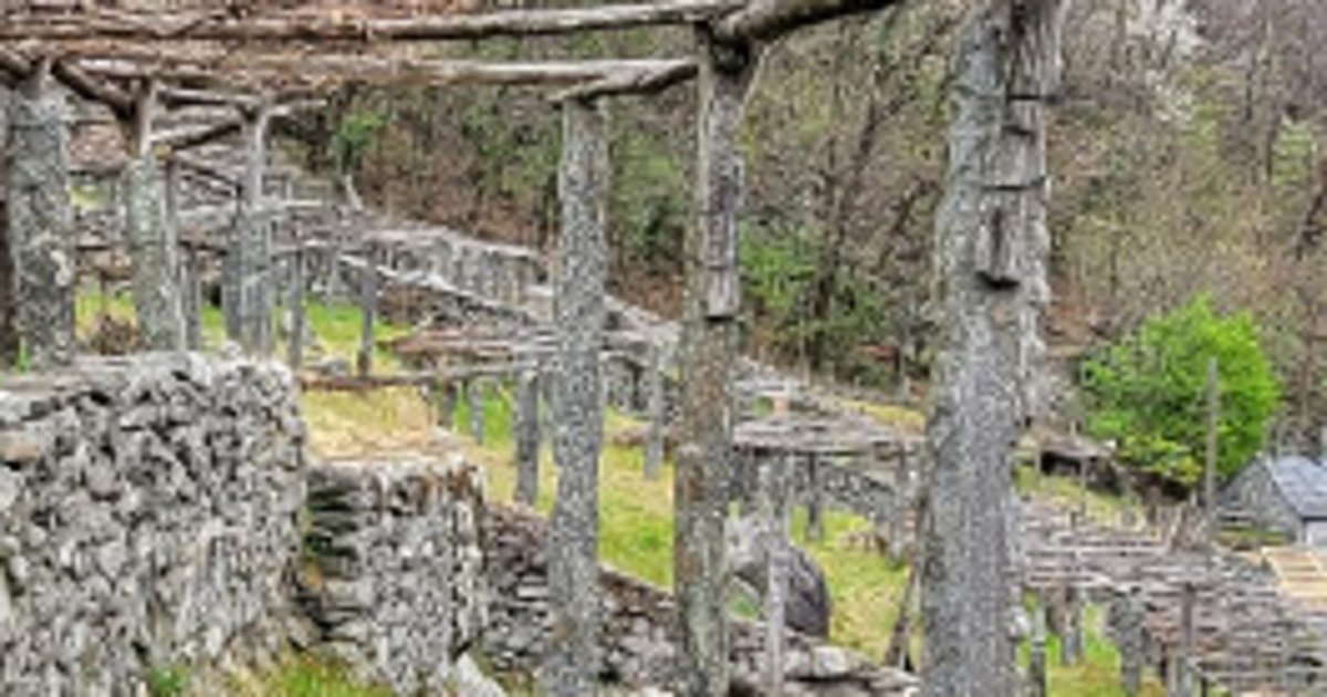 Charakterisierung der Südschweizer Weinberge nach Schwierigkeit der ...