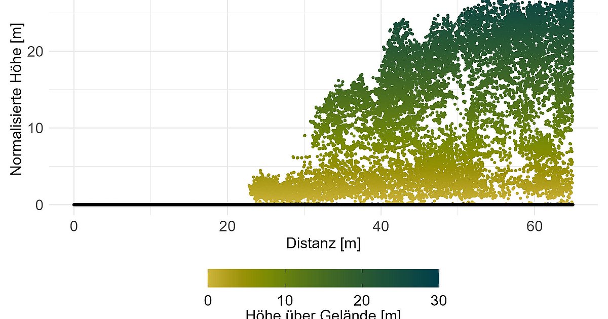 Forest edge characterization from countrywide laser scanning data