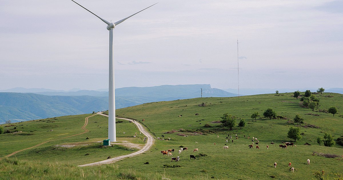 Windkraft nutzen und Biodiversität schützen