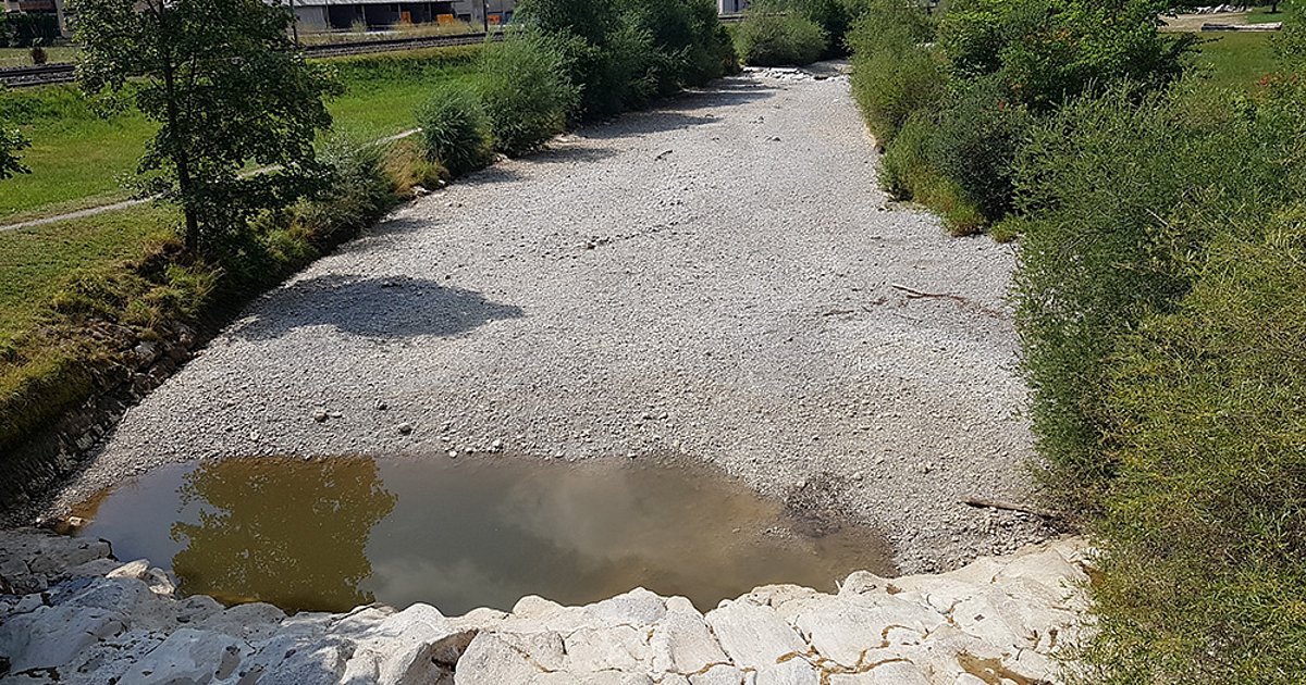 Riverine heatwaves under climate change