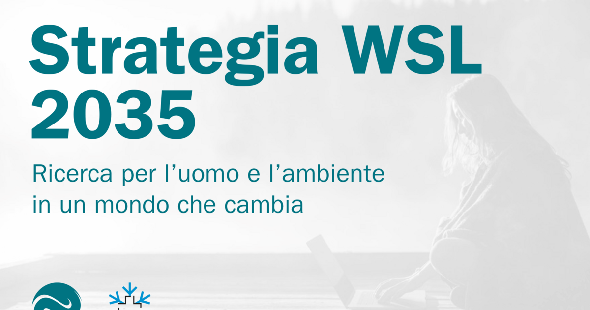 Strategia WSL 2035