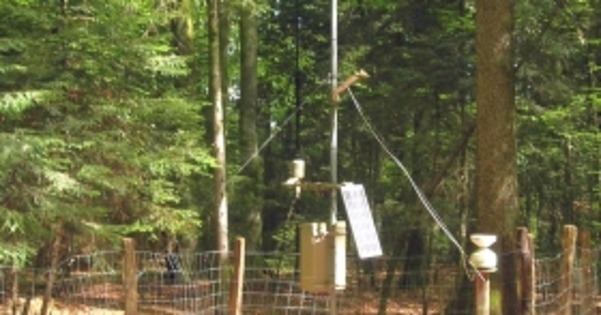 Below-canopy climate and climate trends