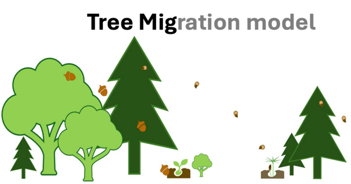 Forest landscape model TreeMig