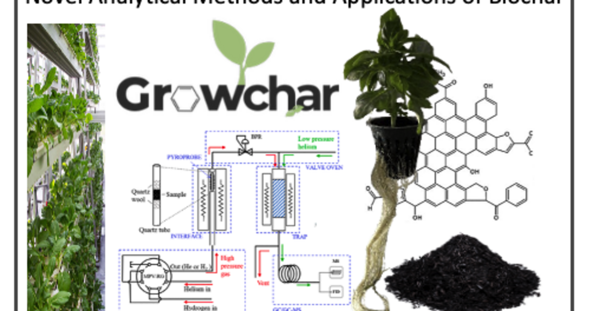 Novel Analytical Methods and Applications of Biochar