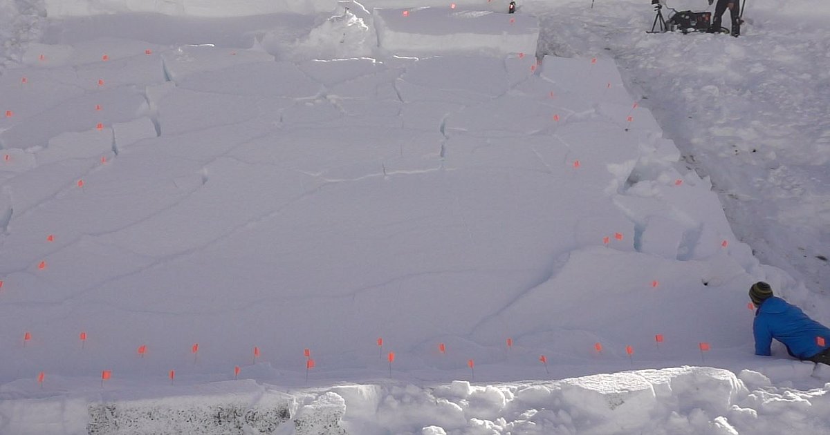 Understanding self-sustained crack propagation in snow - the key to ...
