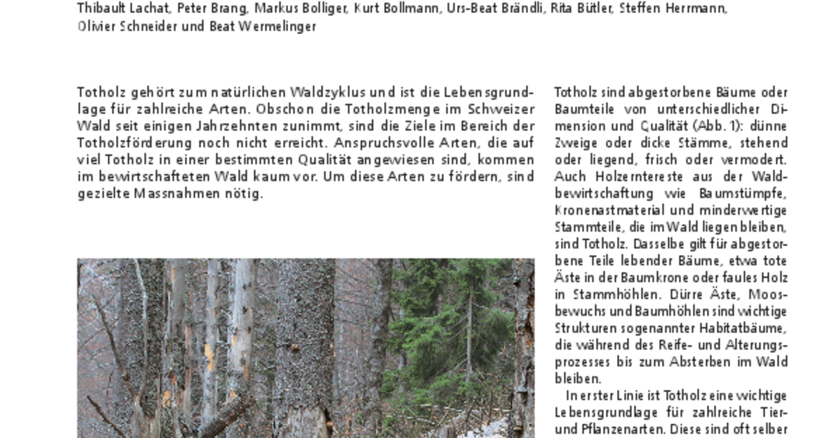 Totholz im Wald – Entstehung, Bedeutung und Förderung