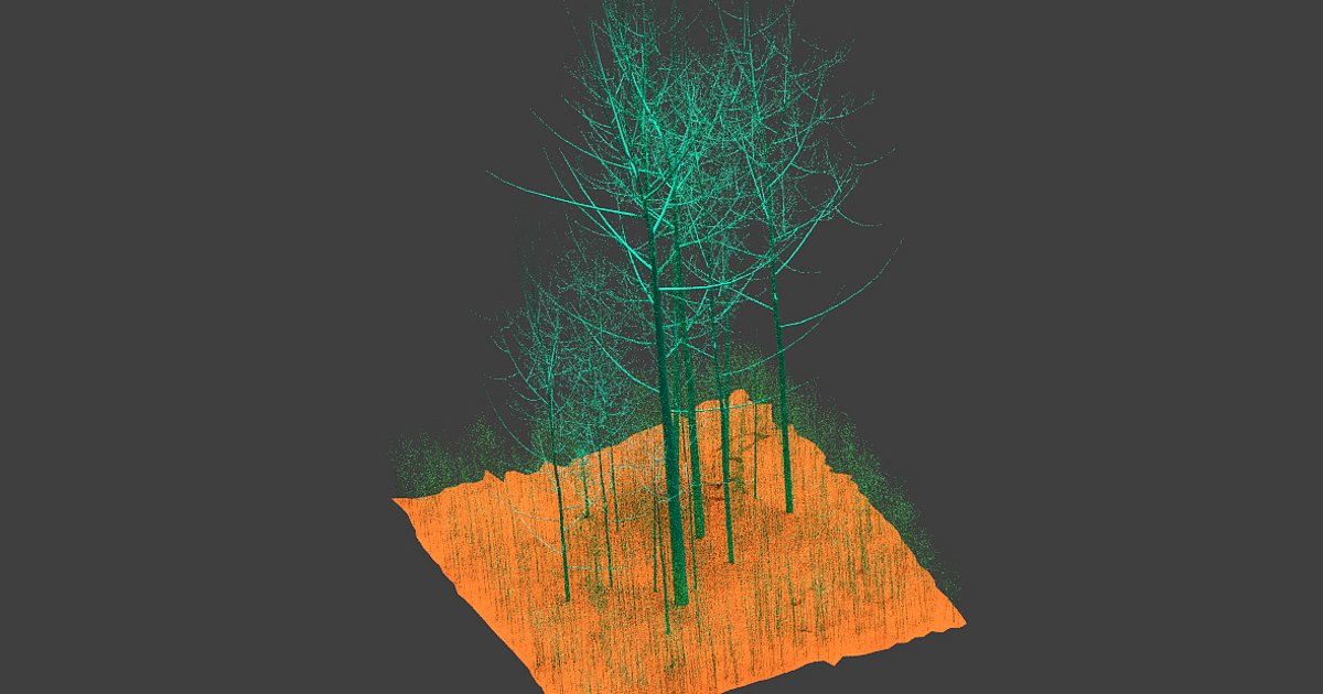 Evaluation And Application Of Terrestrial Lidar For Forest Inventories