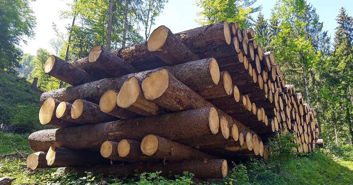 Biomass carbon cycle