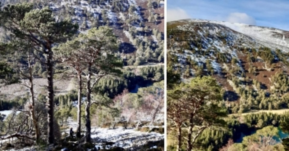 Bridging paleoclimate records and climate model simulations with a ...