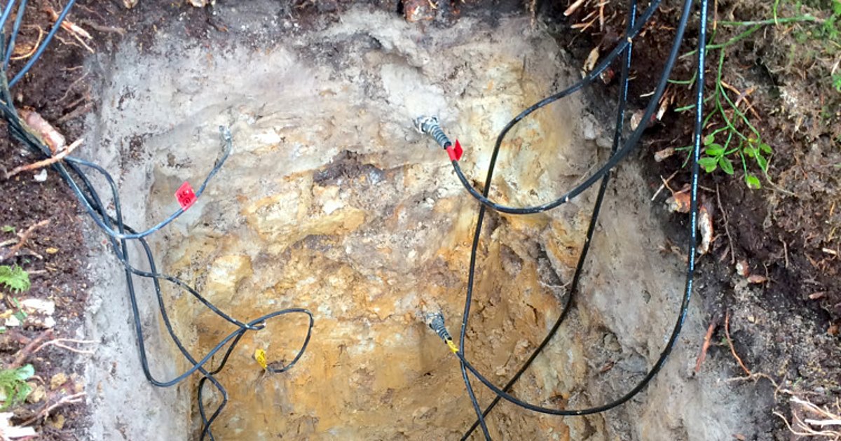 Give and take: how much water does soil retain for trees?