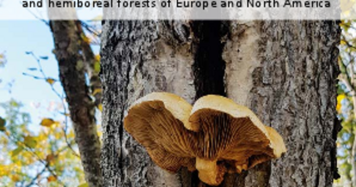 Field Guide to Northern Tree-related Microhabitats