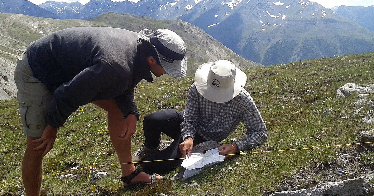 GLORIA GLobal Observation Research Initiative in Alpine environments