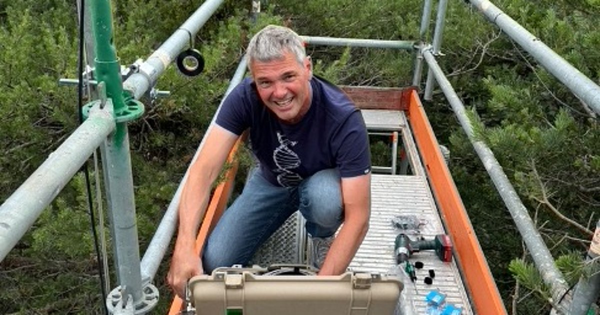 Solar Induced Fluorescence for assessing the impact of drought on pine ...