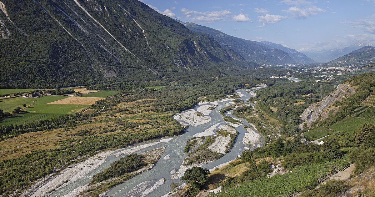 The impact of climate change on life in freshwater and terrestrial ...