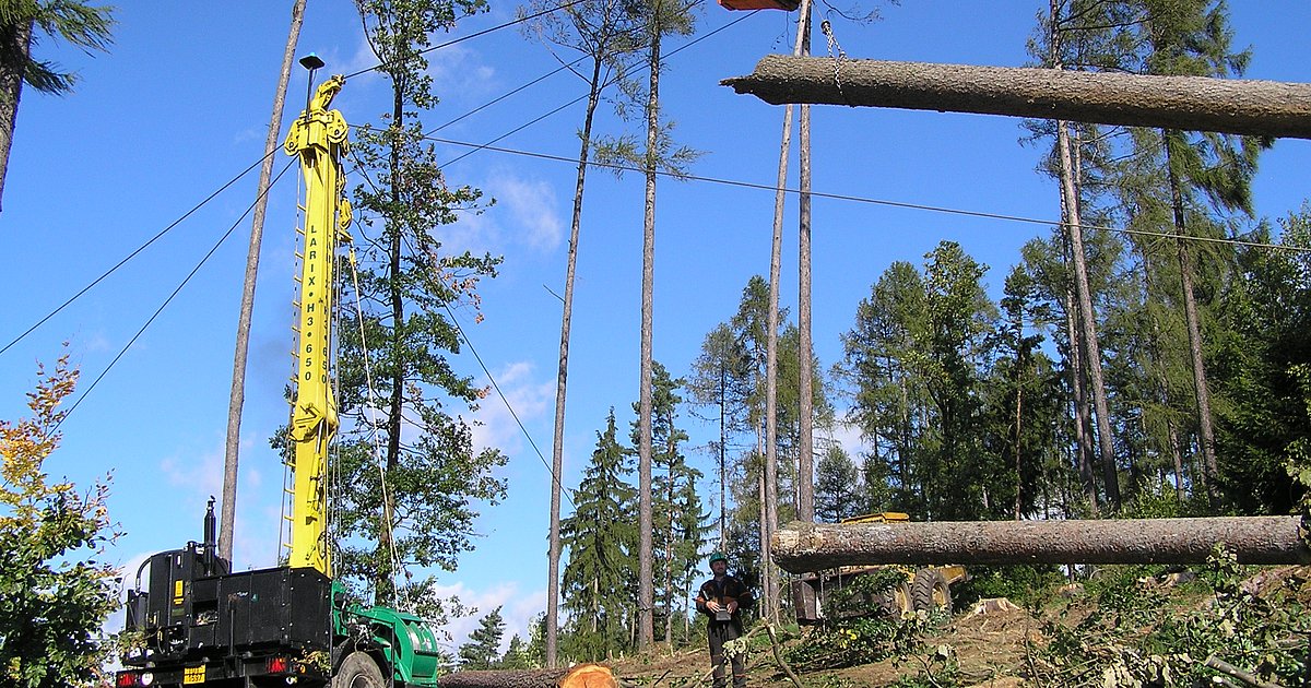 cable logging system