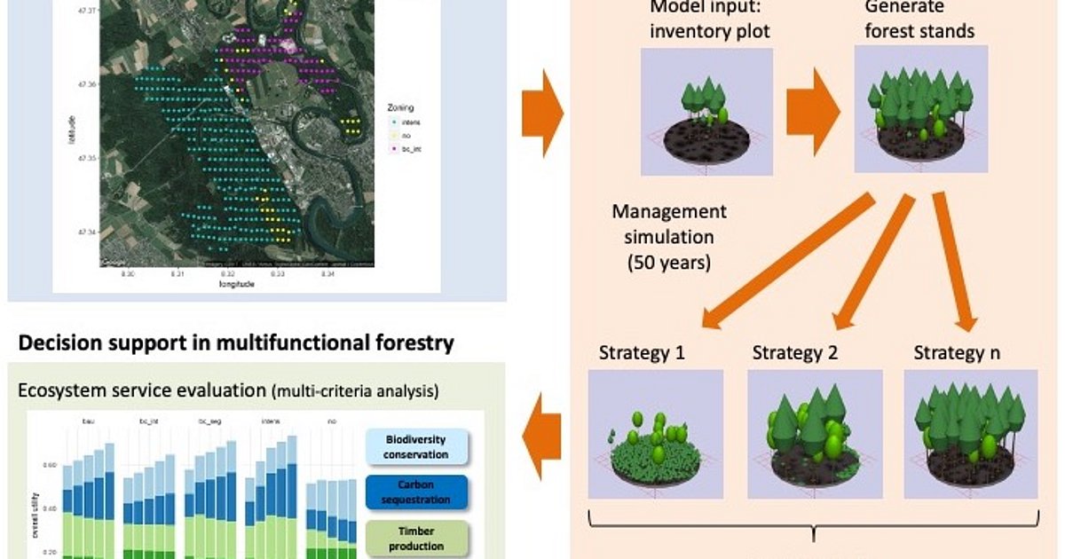 Optimized forest planning for the provision of biodiversity and ...