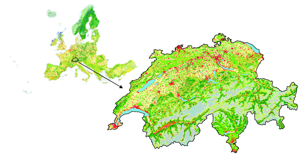 Copernicus Land Monitoring 2021-2025, Landbedeckung / Landnutzung Schweiz