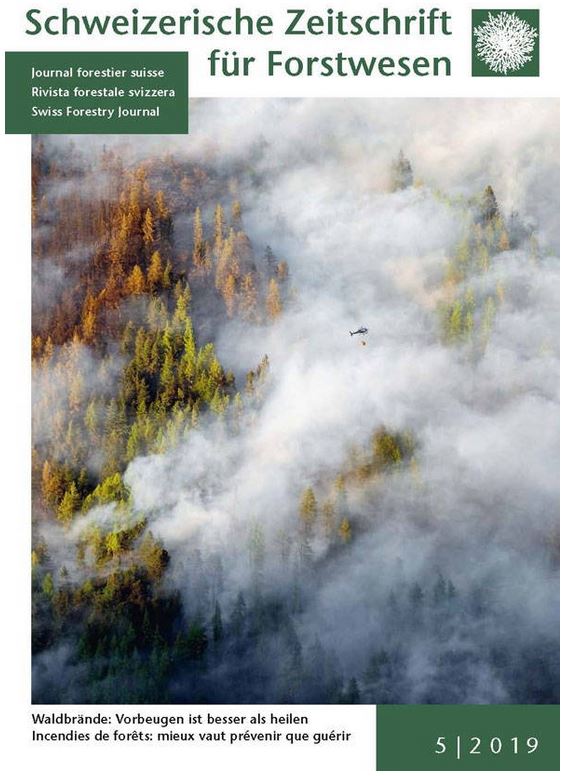 Waldbrände: Vorbeugen ist besser als heilen