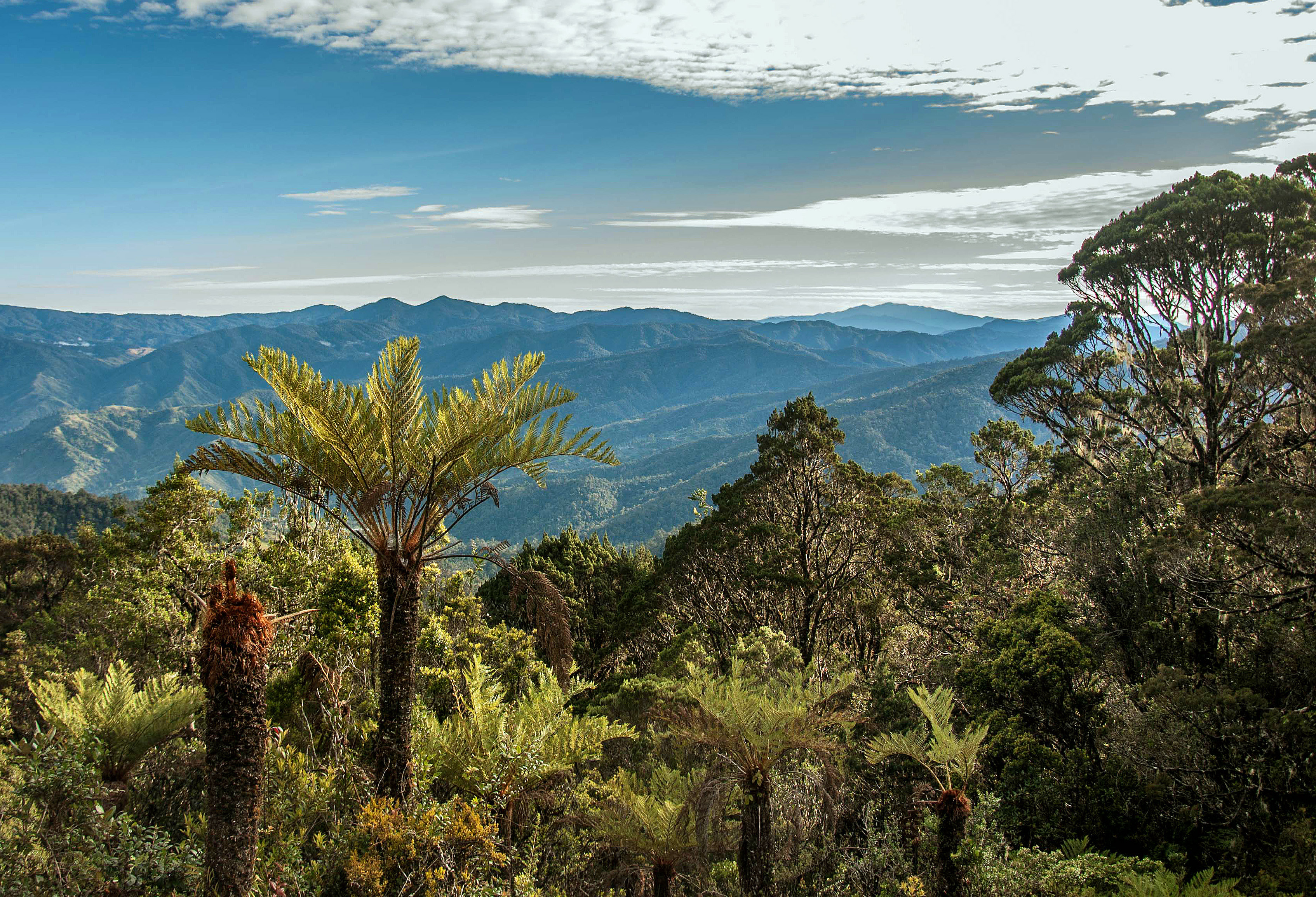 First global database of the Earth’s vegetation