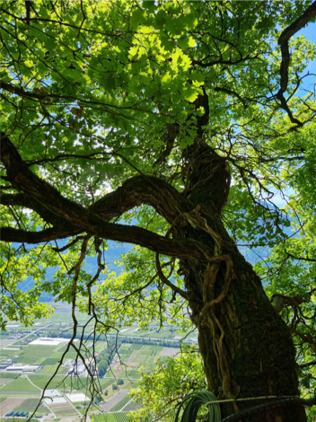 HEAT - Keeping it cool in a Hotter world